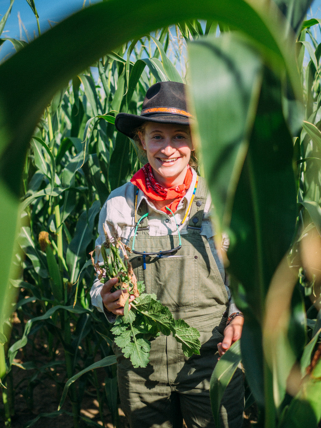 Rebecca Baldwin-Kordick – Integrity Soils