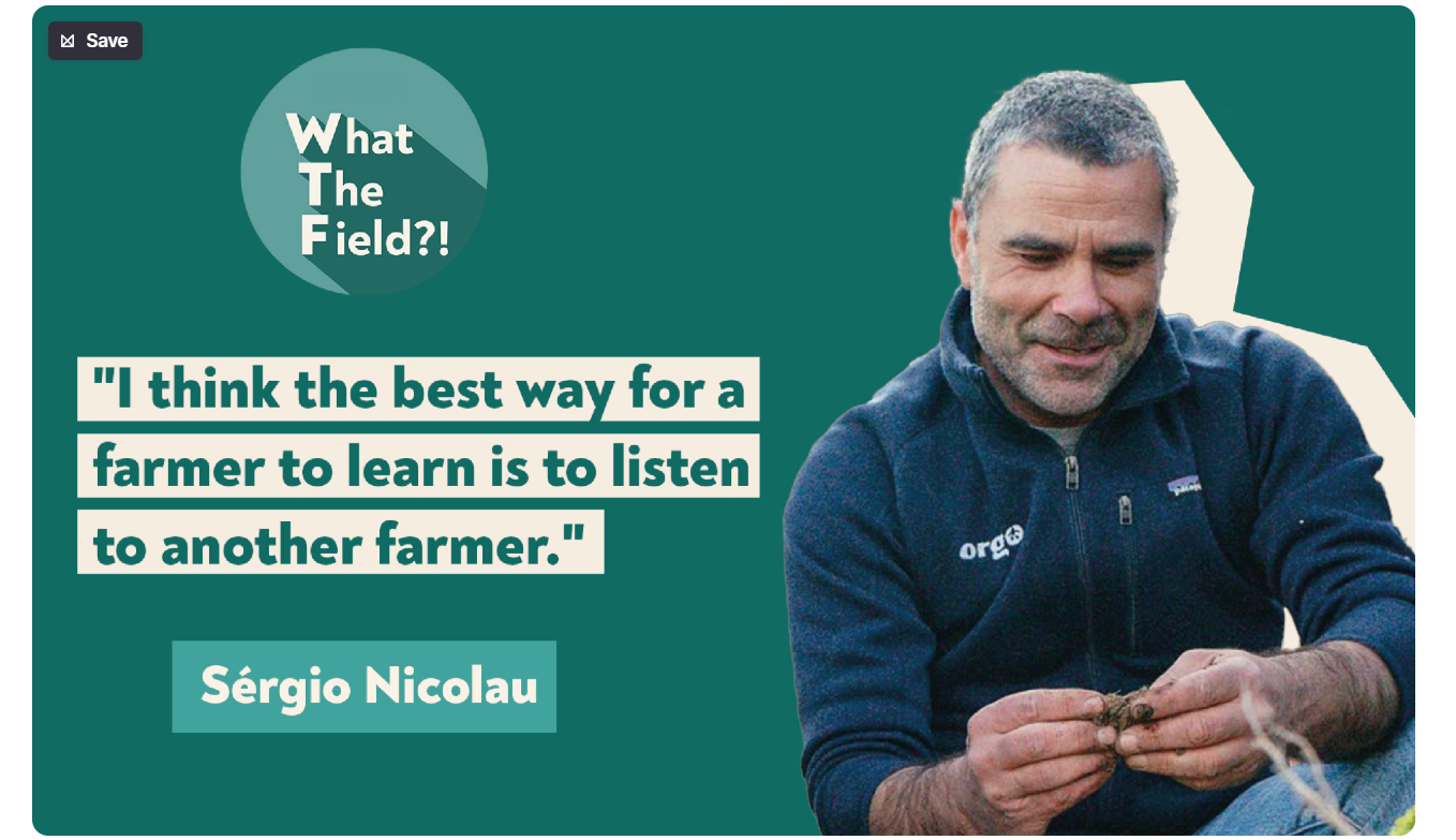 What the Field? – Integrity Soils